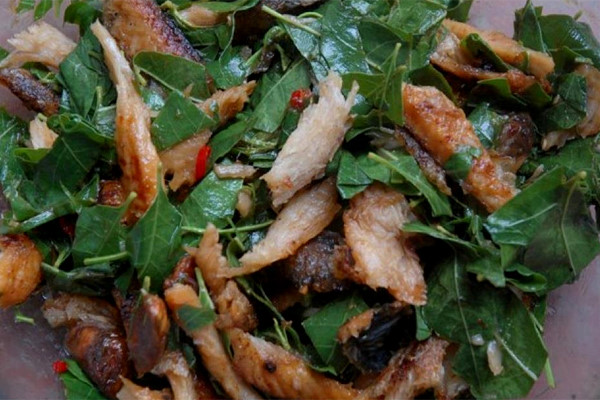 Khô Cá Trèn Bầu