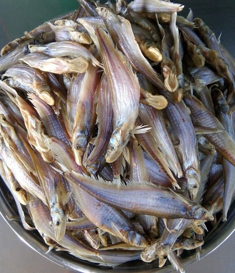 Khô cá trèn đặc sản nổi danh dòng Mê Kong